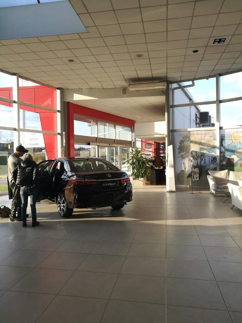 Toyota del Pilar - Concesionarios de Coches