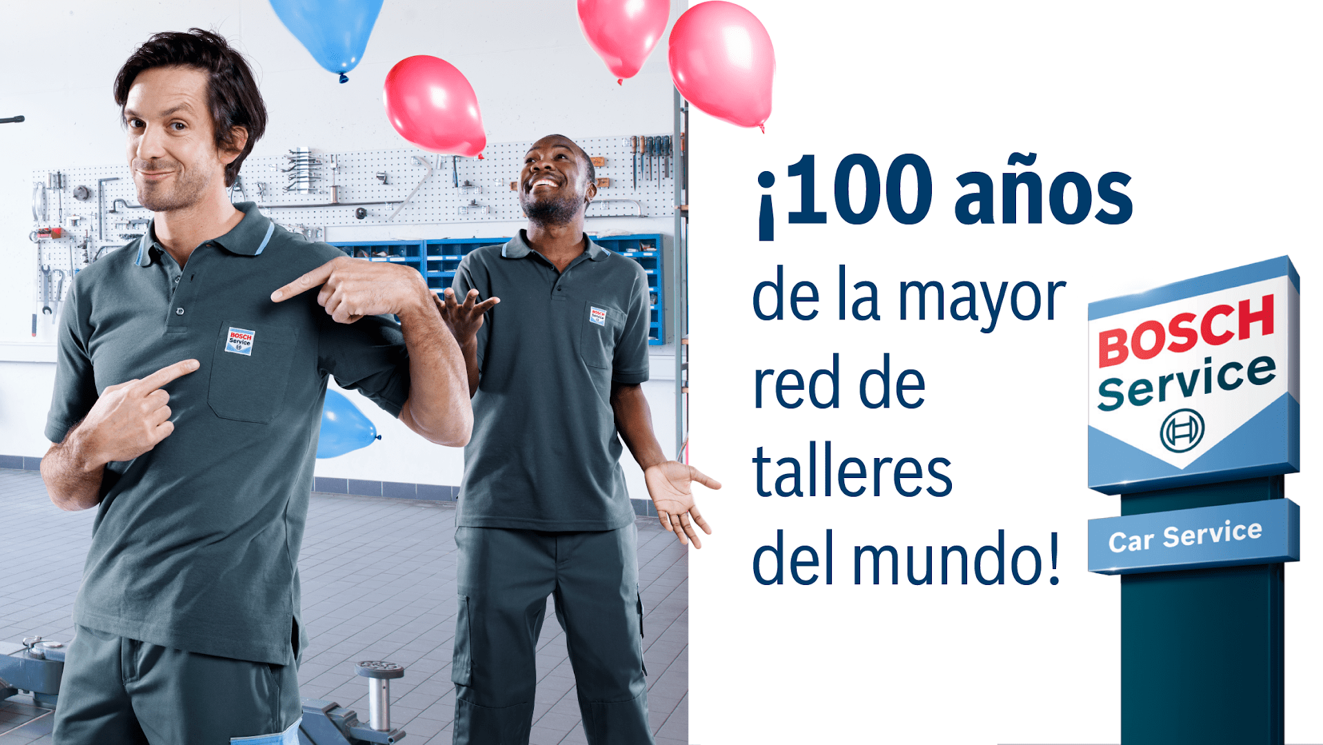 Tute Cars - Concesionarios de Coches